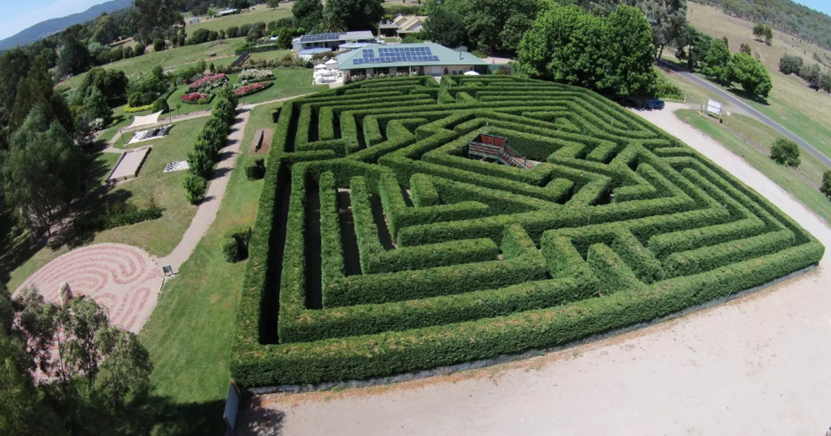 One of Australia’s biggest mazes is for sale (house and cafe included)