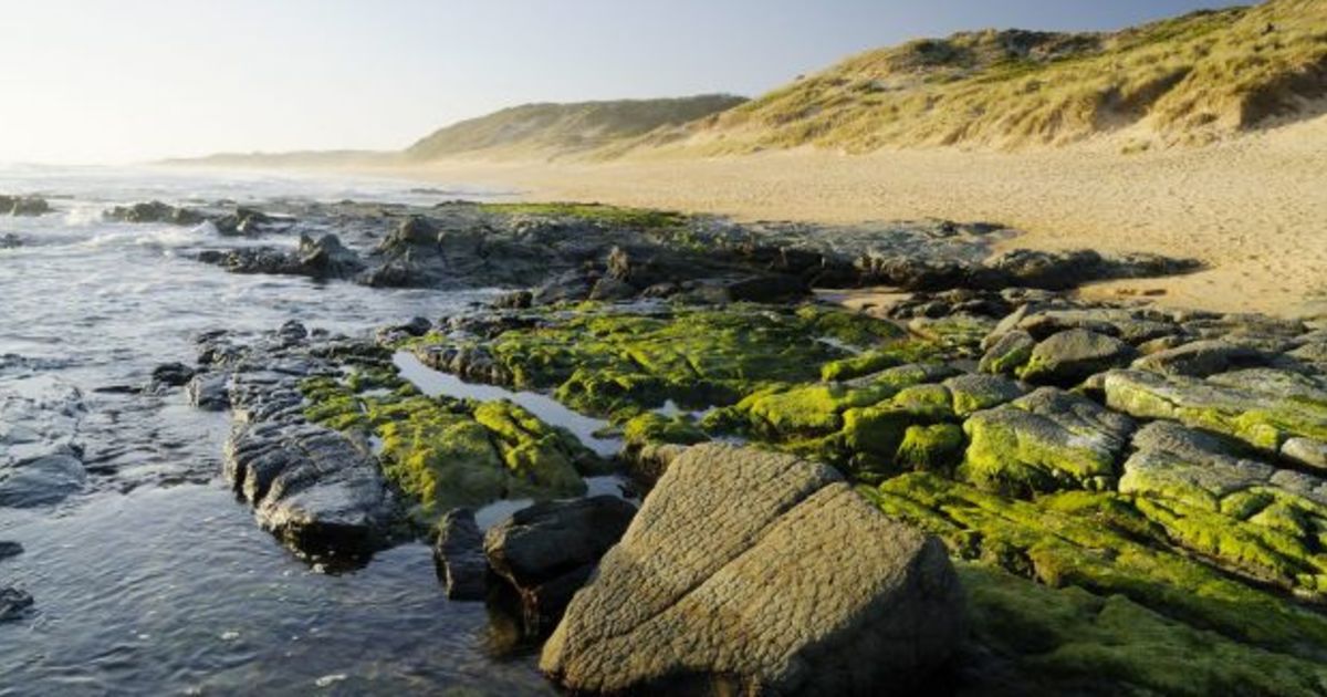 Is the Bass Coast Victoria’s most overlooked and undiscovered coastal ...