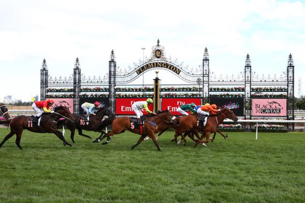 Victoria Racing Club considers next move for Flemington land
