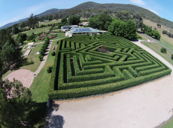 One of Australia’s biggest mazes is for sale (house and cafe included)