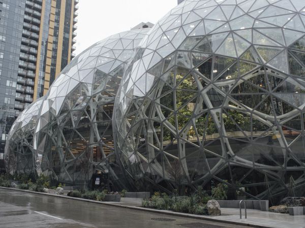 Why Amazon built its workers a mini rainforest inside three domes at ...