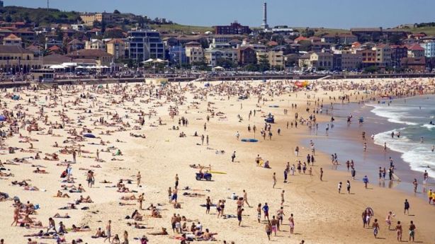 The worst things about living in Sydney’s suburbs, according to residents