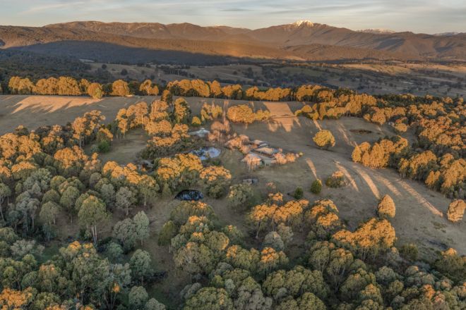 Movie stars have graced this high country homestead in Merrijig