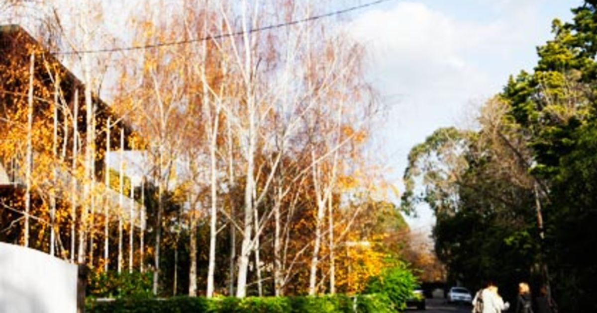 Toorak’s best streets