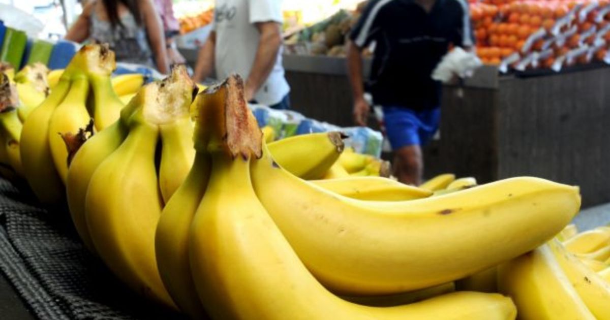 Bunch of old bananas or building materials of the future?