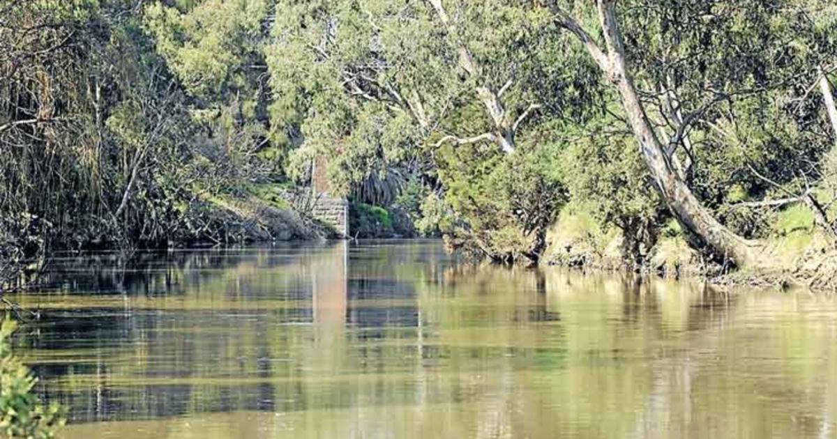Bush setting minutes from city