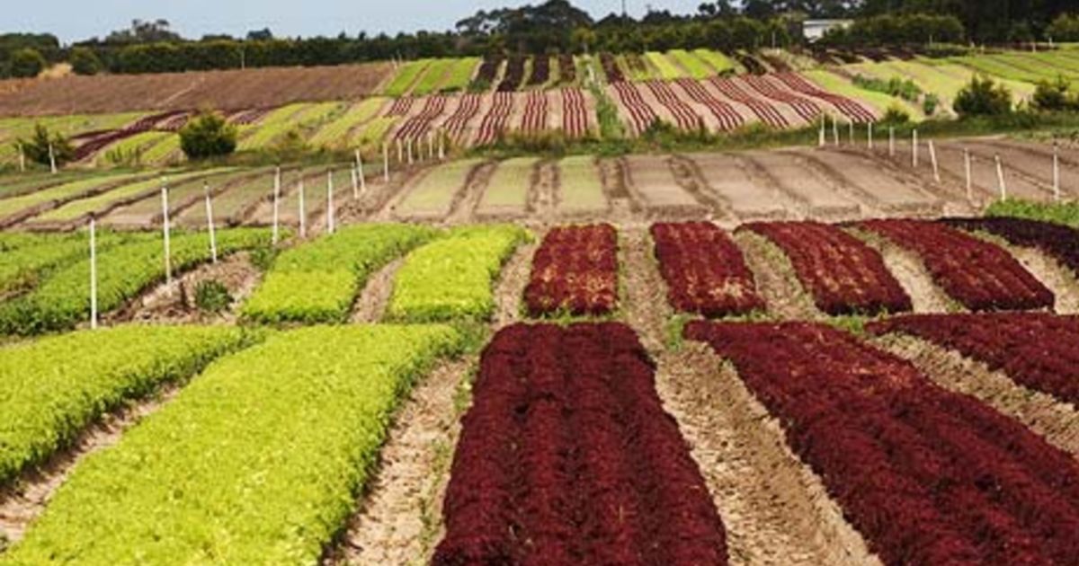 Farming on the fringe