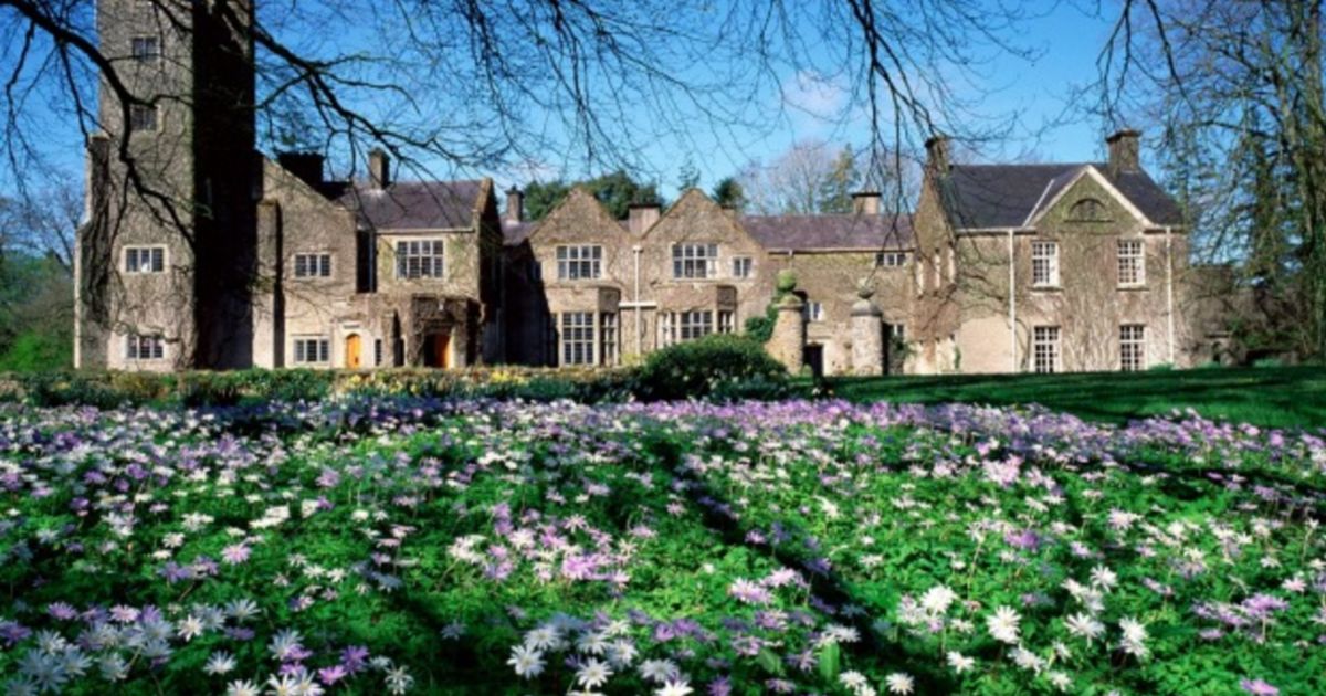 Airbnb announces most Disney-esque castle listings