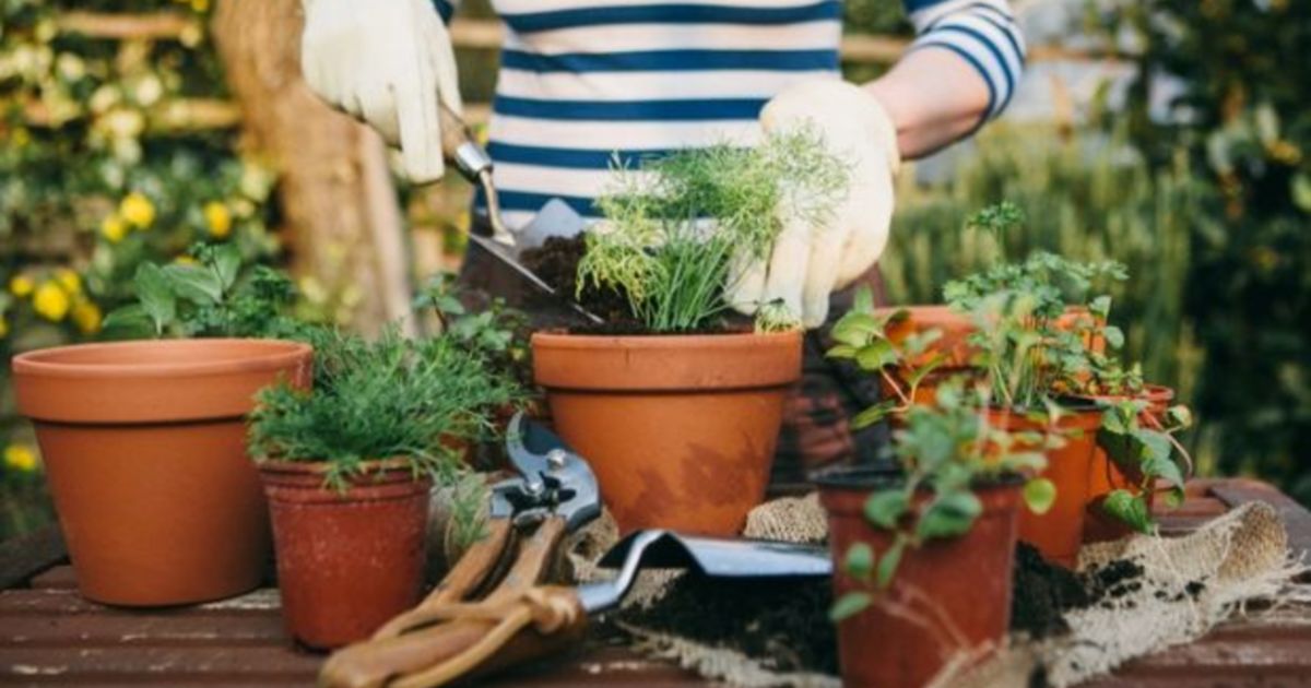 Eight ways to make your home more sustainable today