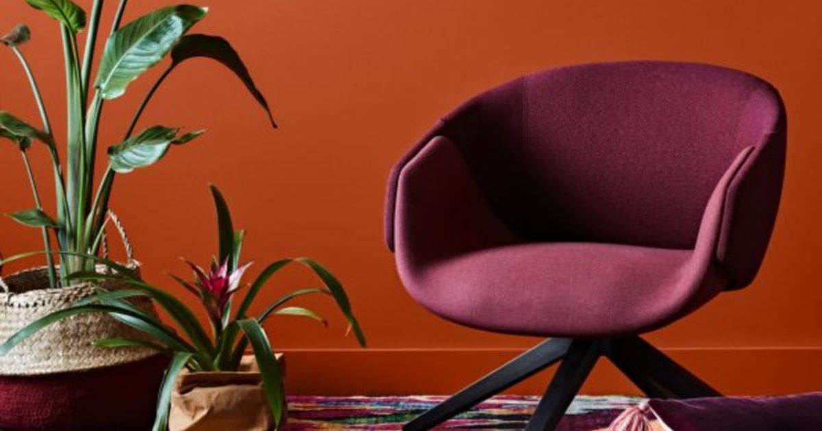 Understanding the different types of paint and how to use them