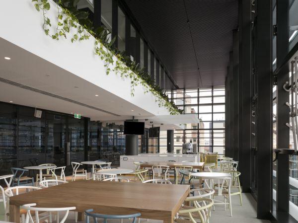 TransGrid recharges workplace with award-winning new offices