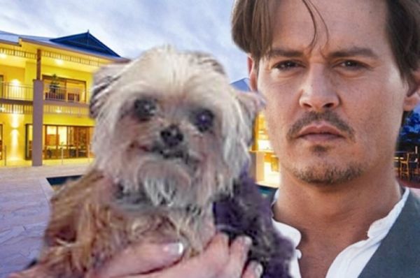 Johnny Depp’s luxury home at centre of dogs fiasco