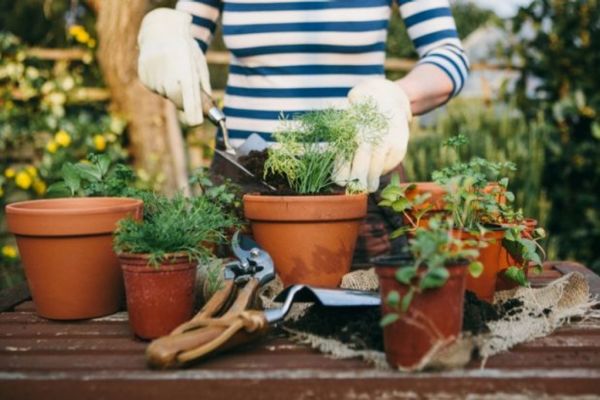 Eight ways to make your home more sustainable today