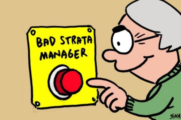 Flat Chat: Time for the cowboys of strata management to be reined in