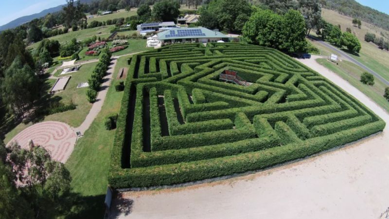 One of Australia's biggest mazes is for sale (house and cafe included)