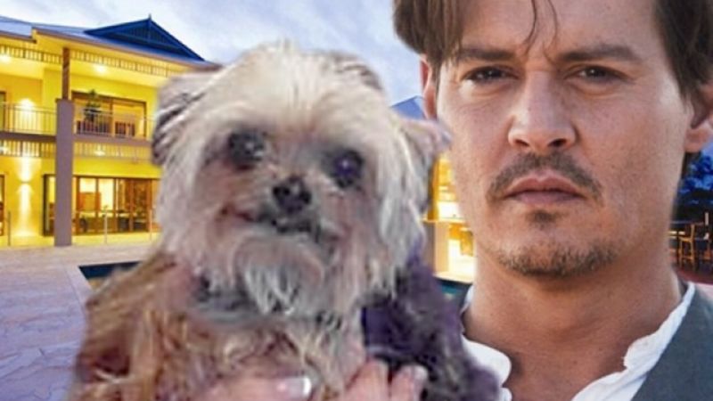 Johnny Depp's luxury home at centre of dogs fiasco