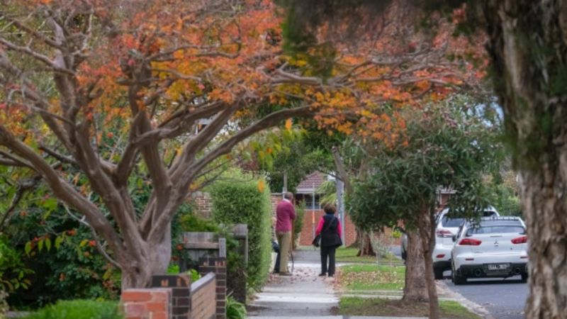 Seven things I love about living in Carnegie