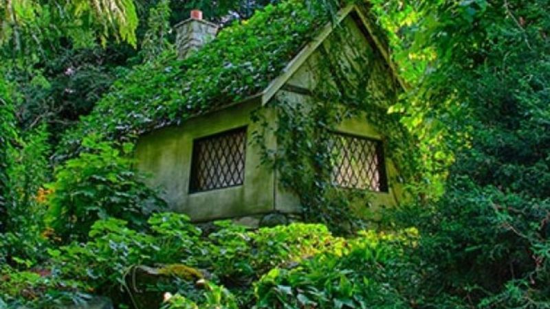 These houses look as though they're straight out of a fairy tale