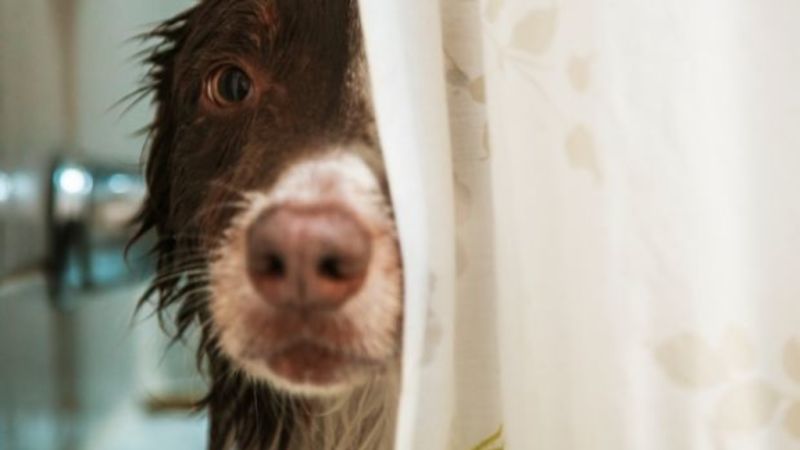 10 toxic items in your home that might surprise you