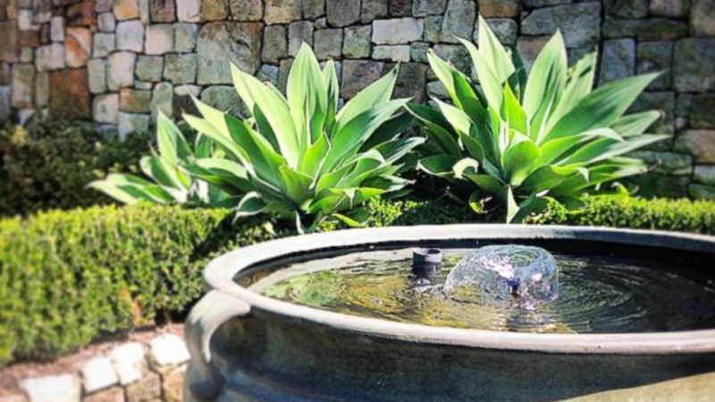 The trick to keeping your water feature clean