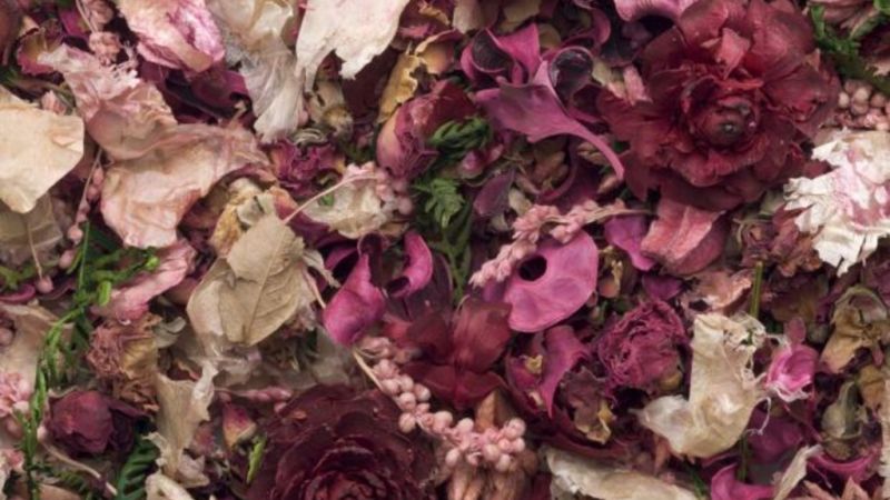 Love Your Garden: What to do with spent flowers