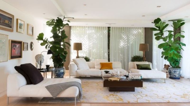 Darling Point home goes for $1 million above reserve