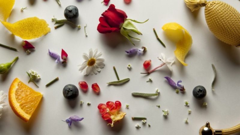 Seven deceptively simple and natural ways to make your home smell better