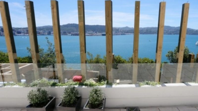 Victims of view-blocking neighbour's 'overbearing' Wellington fence get ...
