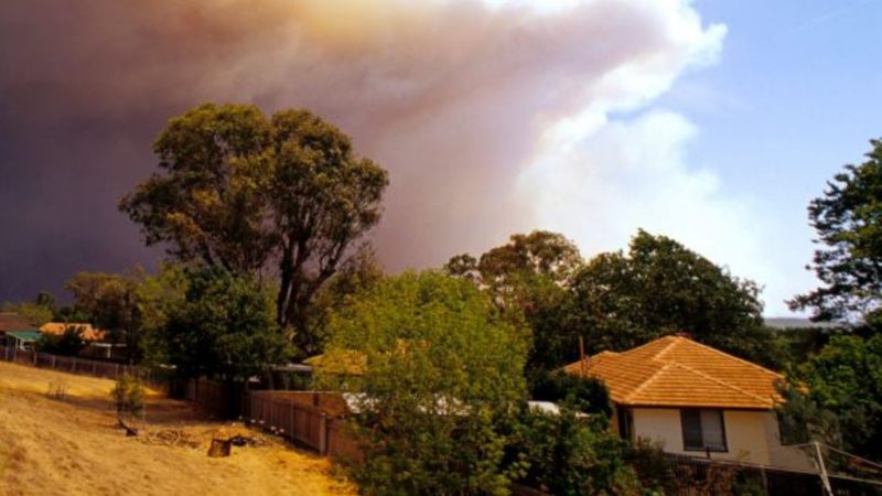 Top tips to make your home bushfire safe