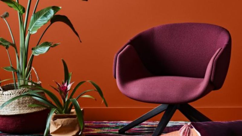 Understanding the different types of paint and how to use them