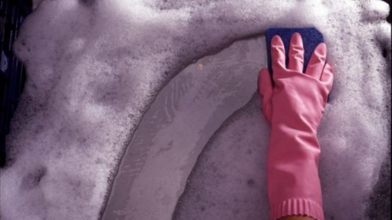 Kitchen sponge is a 'microbial incubator', say German researchers from ...