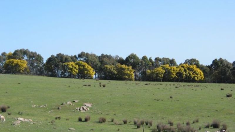 Here's 49 small Australian communities that are innovating as well as ...