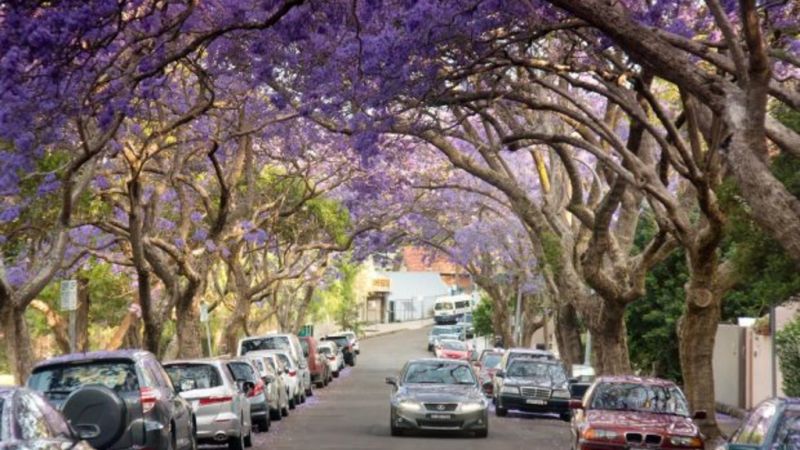 Try before you buy: Why renting is the key to finding your ideal suburb