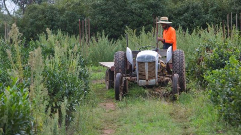 Where to find the Hills' best farm-gates and produce