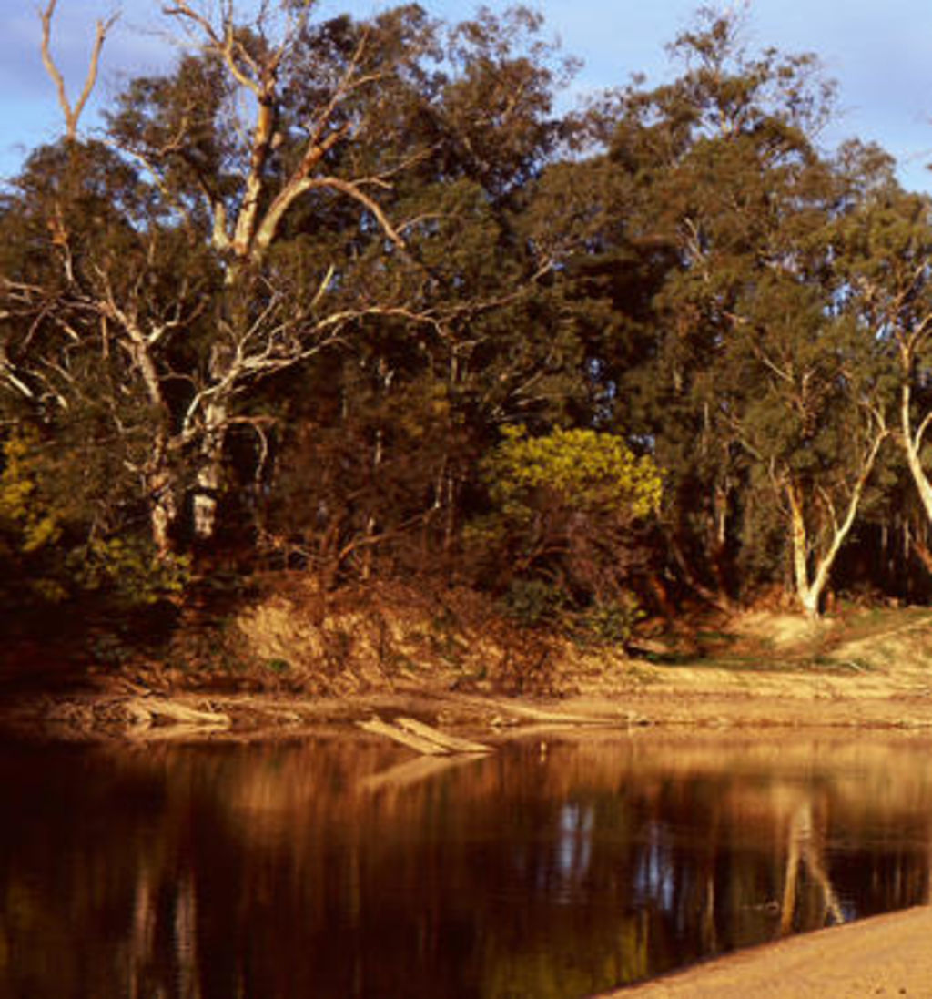Six reasons to love Gunbower