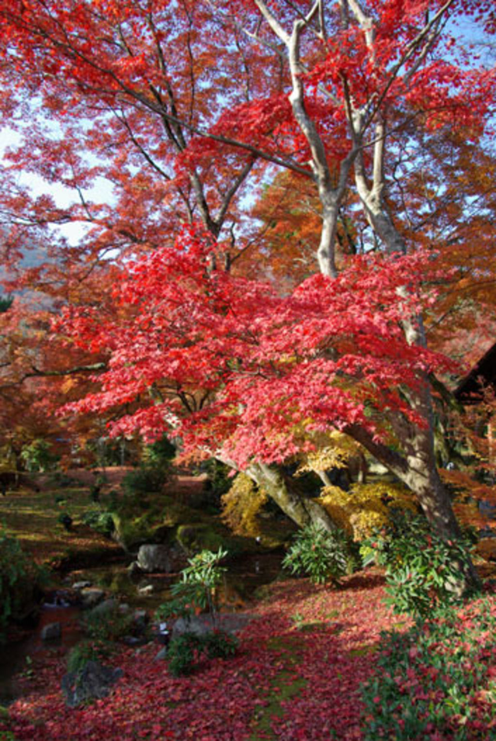 Spring clean for autumn