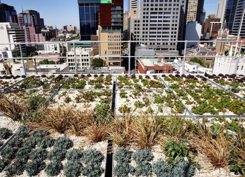 The CBD greening of Melbourne and Sydney