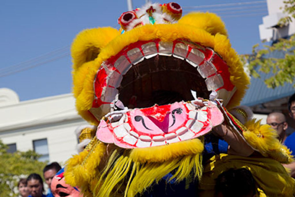 Follow the Chinese in the Year of the Snake