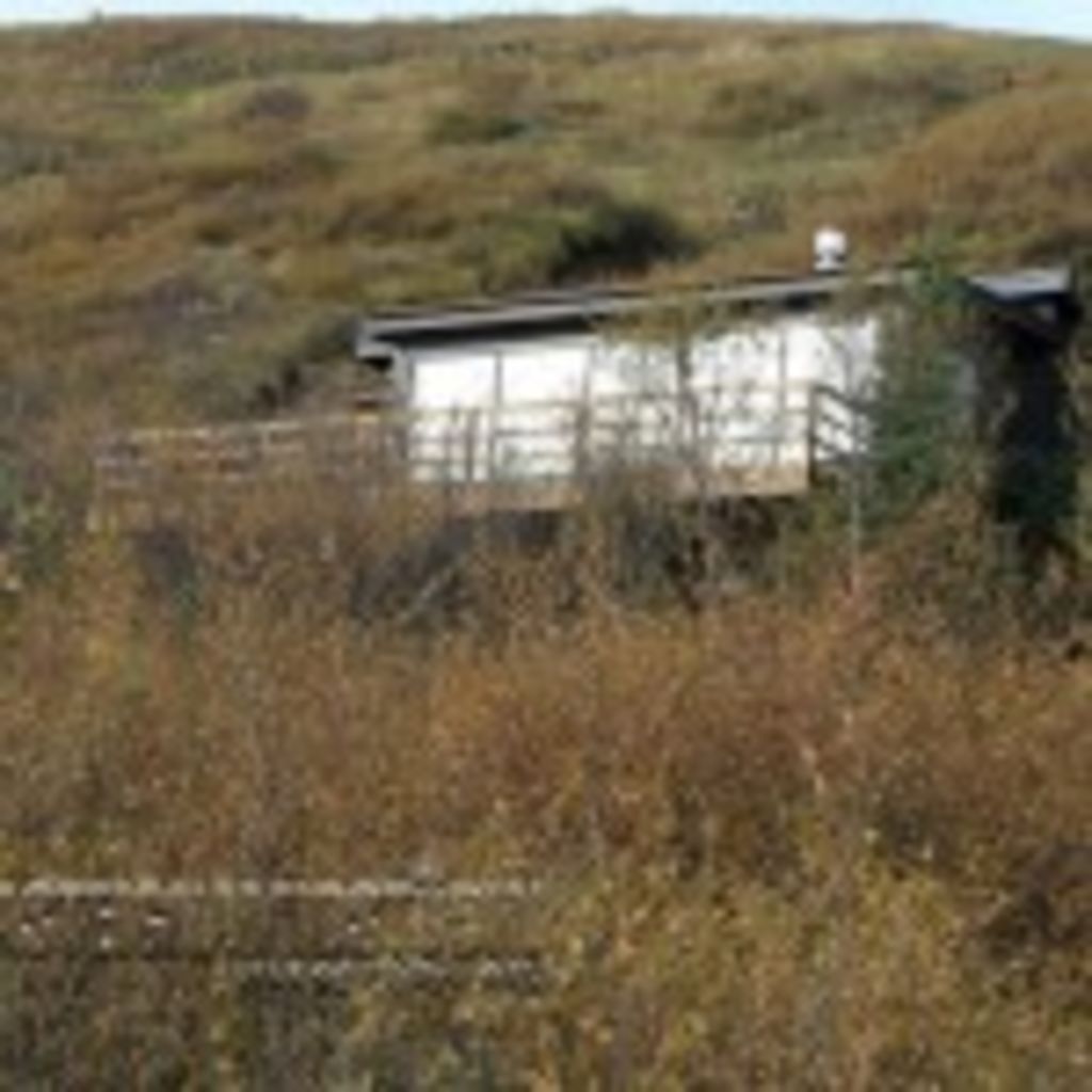 Bjork’s quirky Icelandic cottage on the market