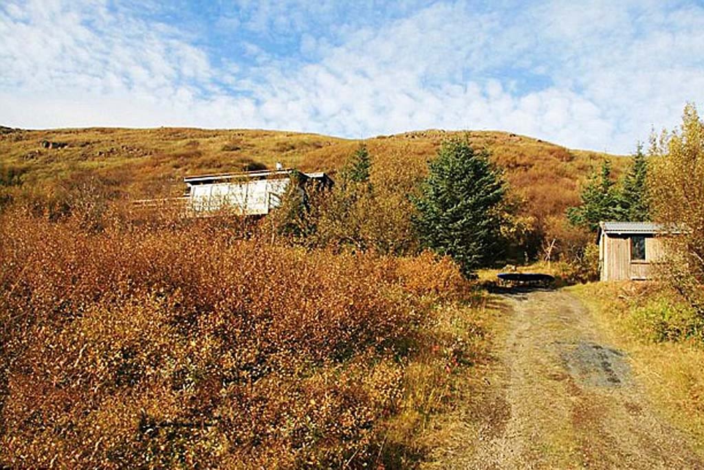 Bjork’s quirky Icelandic cottage on the market