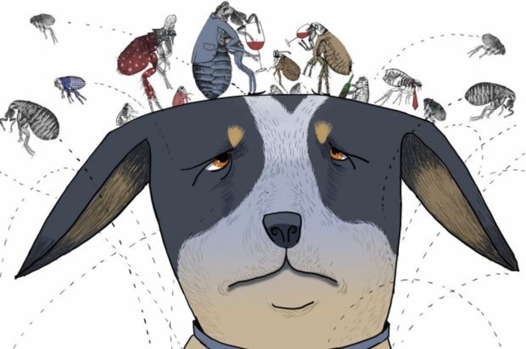 Real Estate and Property Market News | Allhomes