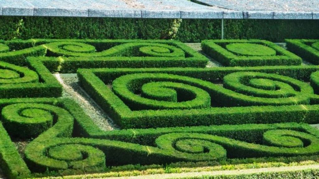 Meet the world’s most in-demand gardener: François Goffinet