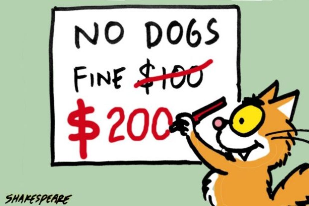 Flat Chat: Fines increase for ignoring strata bylaws