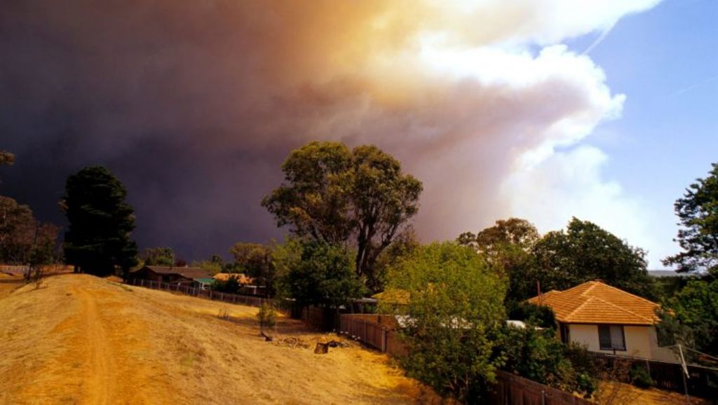 Top tips to make your home bushfire safe