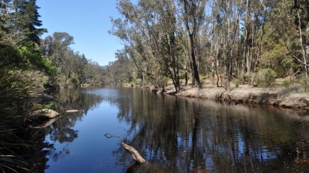 Whole town for sale: Tone River village on the market in WA