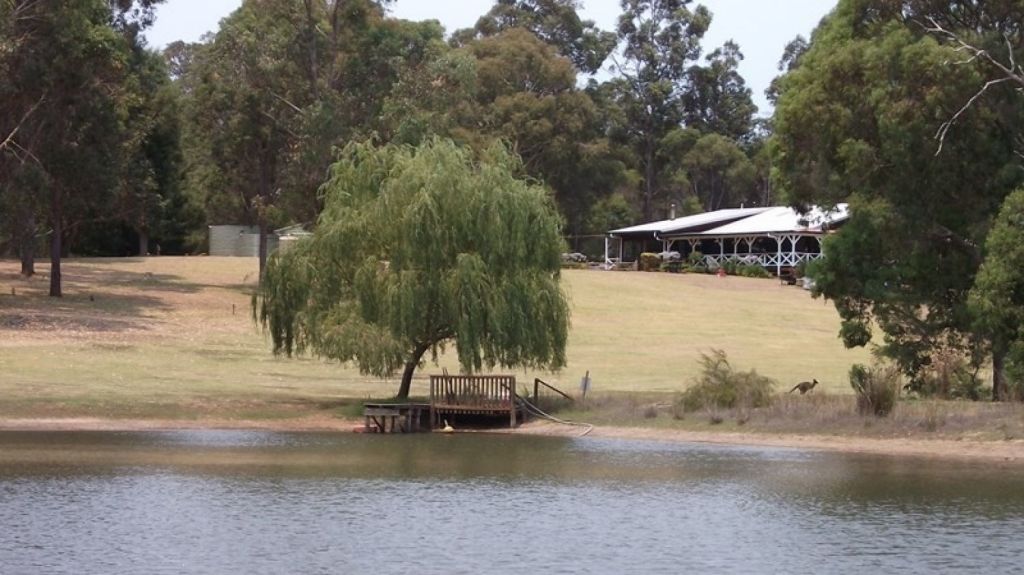 Starring role in new movie Jasper Jones shines spotlight on tiny WA ...