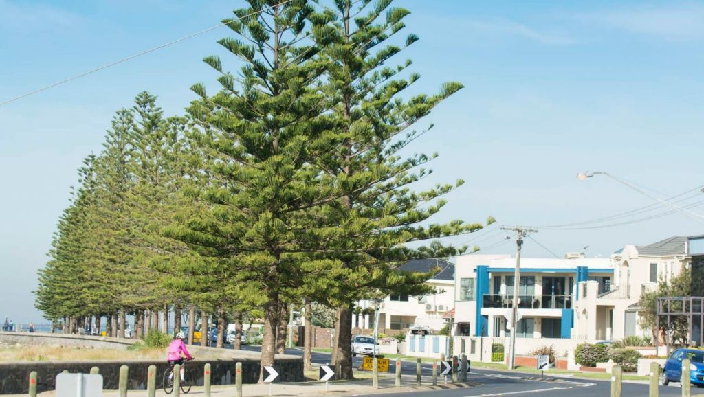 Seaholme: The relatively unknown enclave with some of Melbourne’s best ...