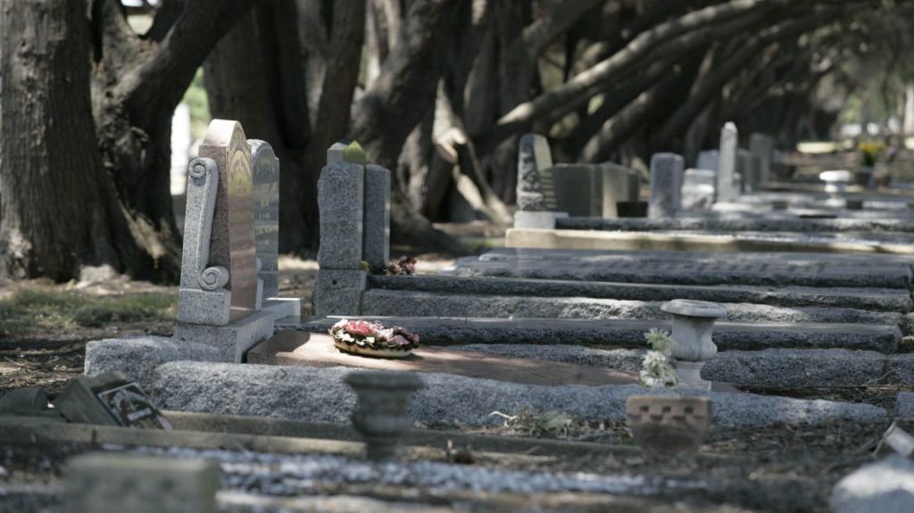 Fawkner: A once-overlooked suburb now a magnet for first-home buyers