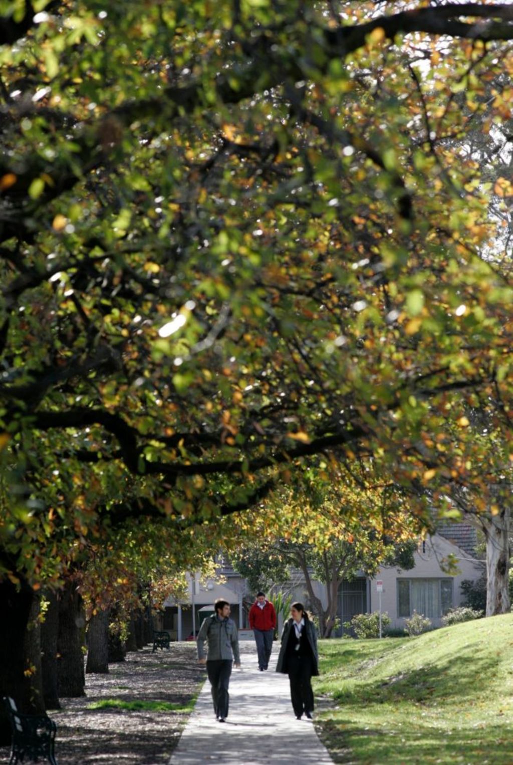 Hawthorn East: The star price performer in Melbourne’s most exclusive ...