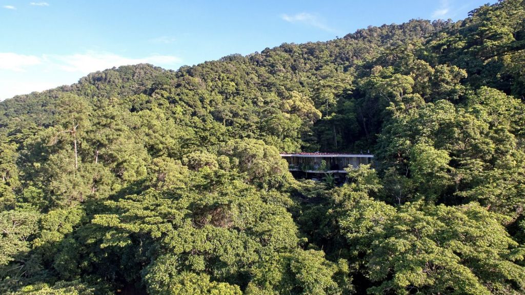 Green glory: The spectacular trends taking over Australia’s gardens